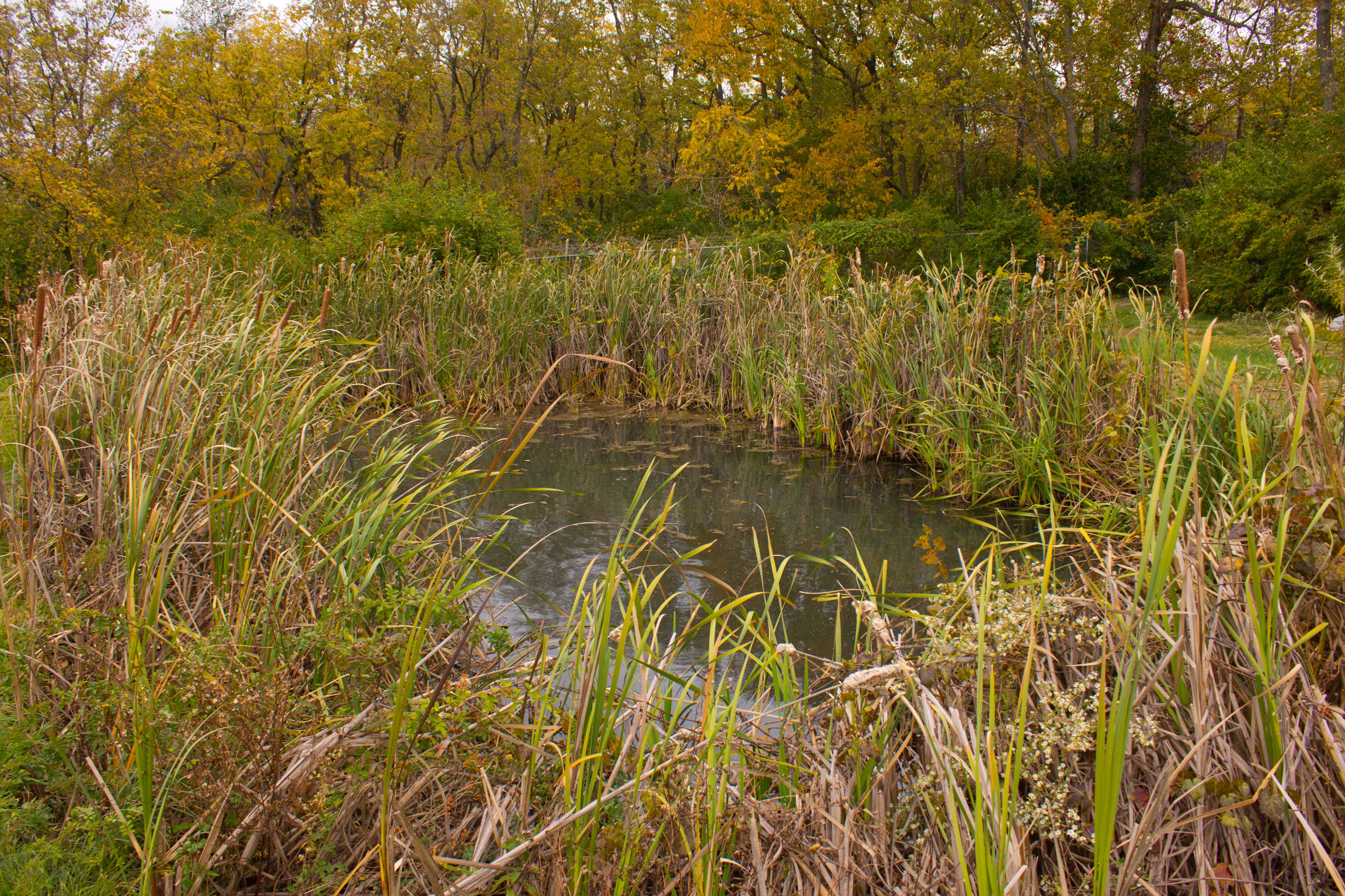大学物业|肯塔基大学艺术与科学学院